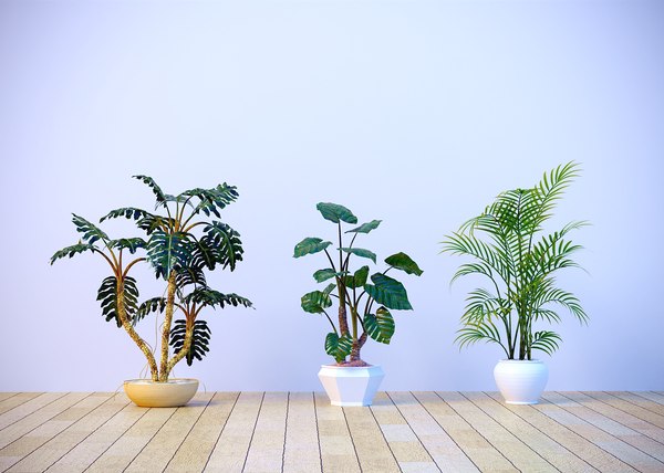 3D Flowers, green plants, potted environment, plants, green leaves fall ...