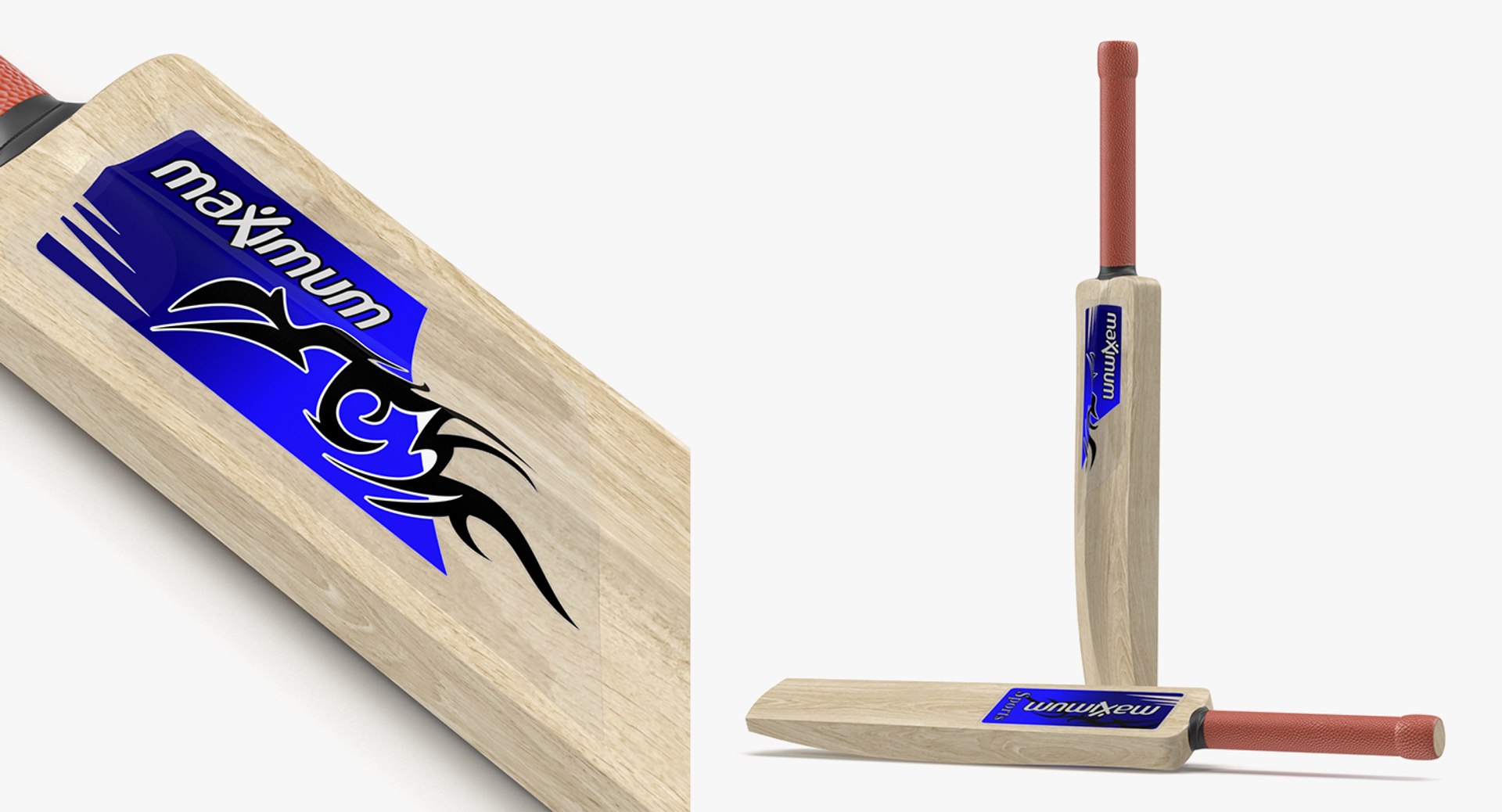 Cricket 4 3D model - TurboSquid 1227642