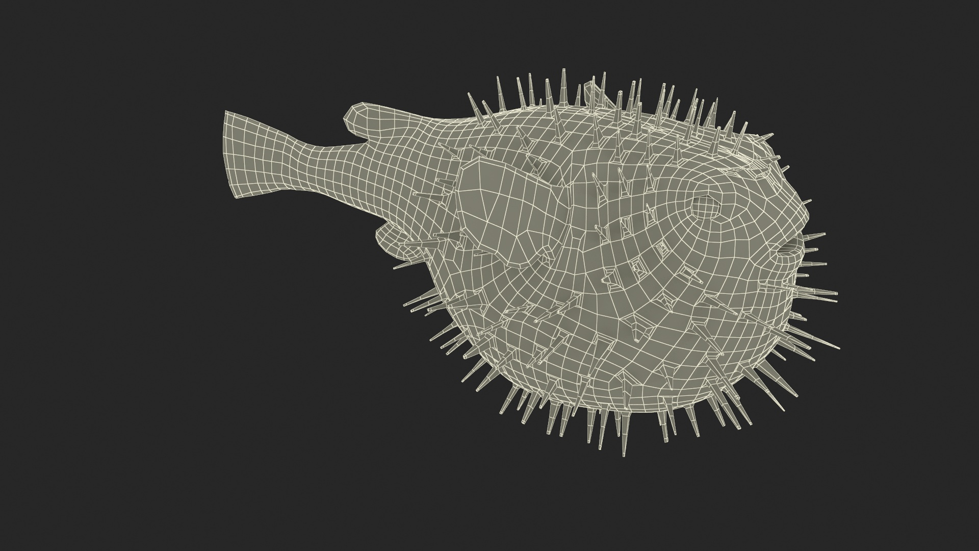 Inflated Puffer Fish 3D Model - TurboSquid 2191745