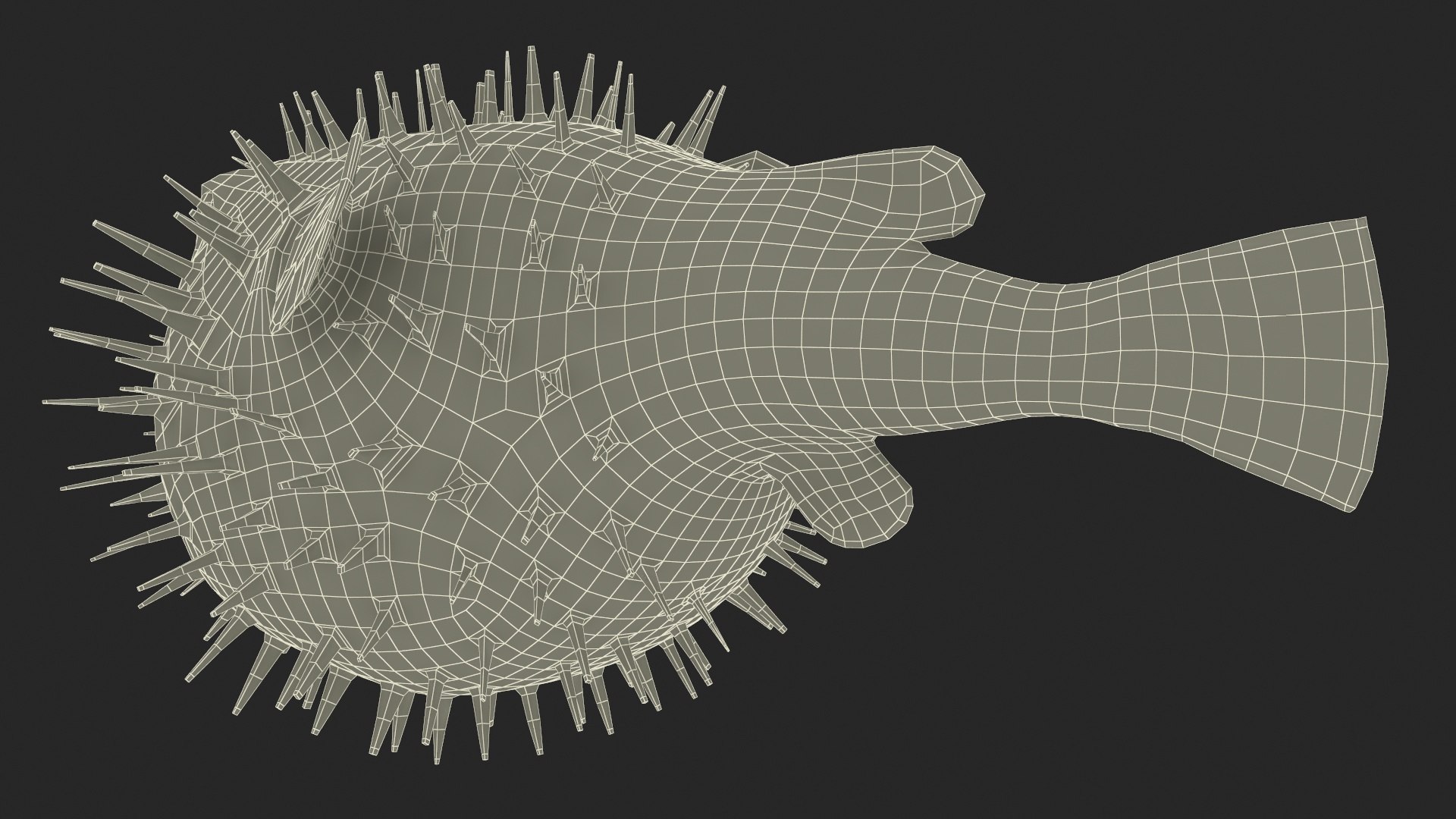Inflated Puffer Fish 3D Model - TurboSquid 2191745