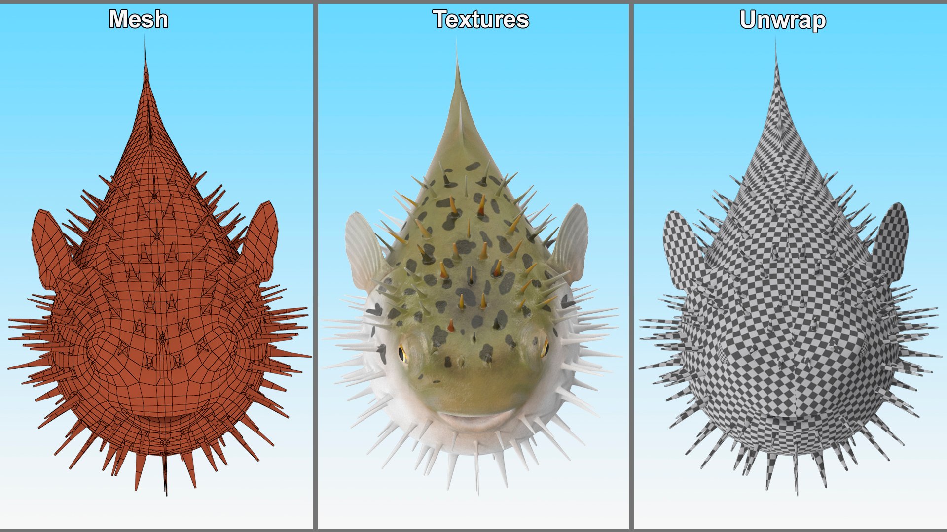 Inflated Puffer Fish 3D Model - TurboSquid 2191745