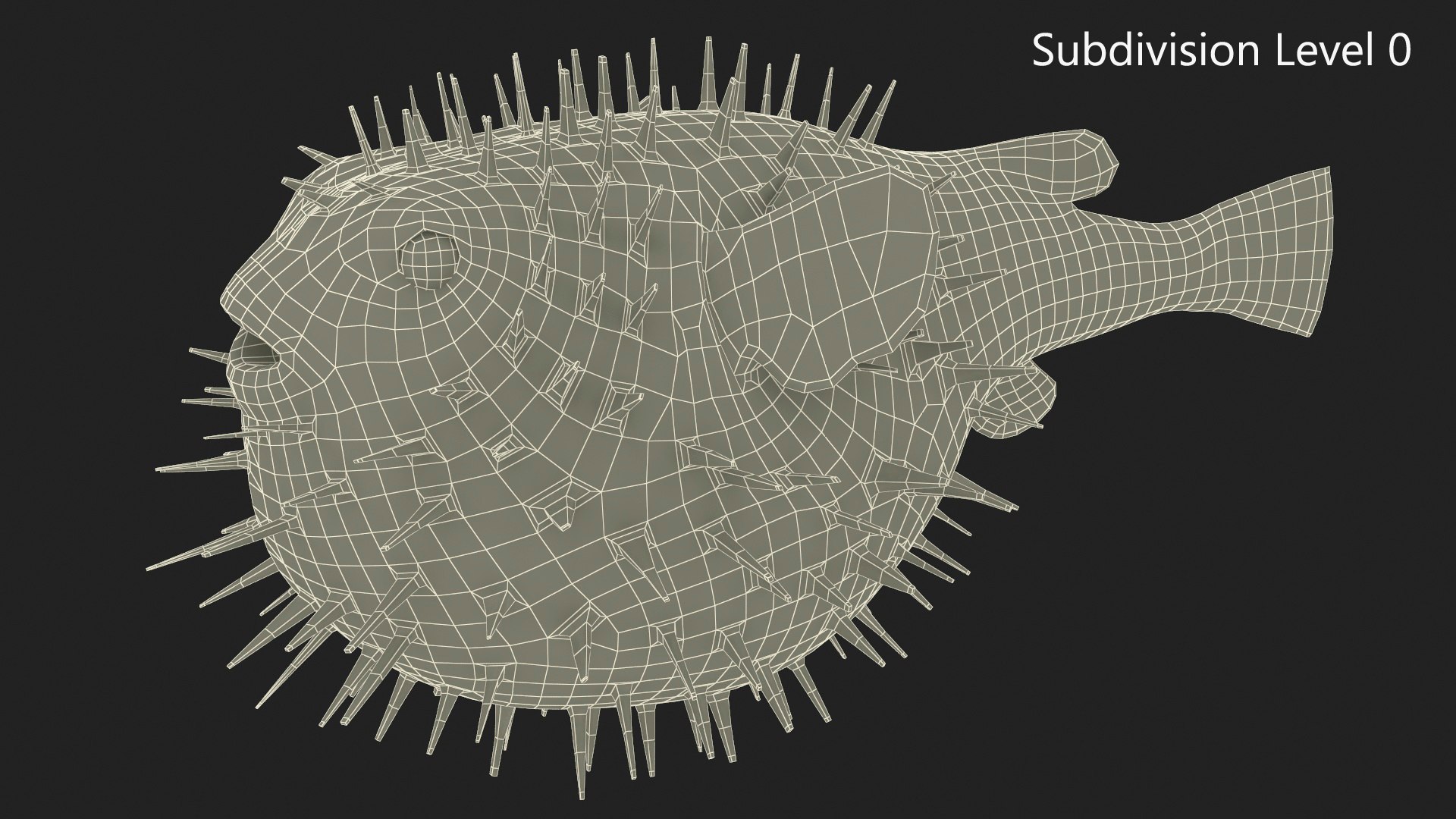 Inflated Puffer Fish 3D Model - TurboSquid 2191745