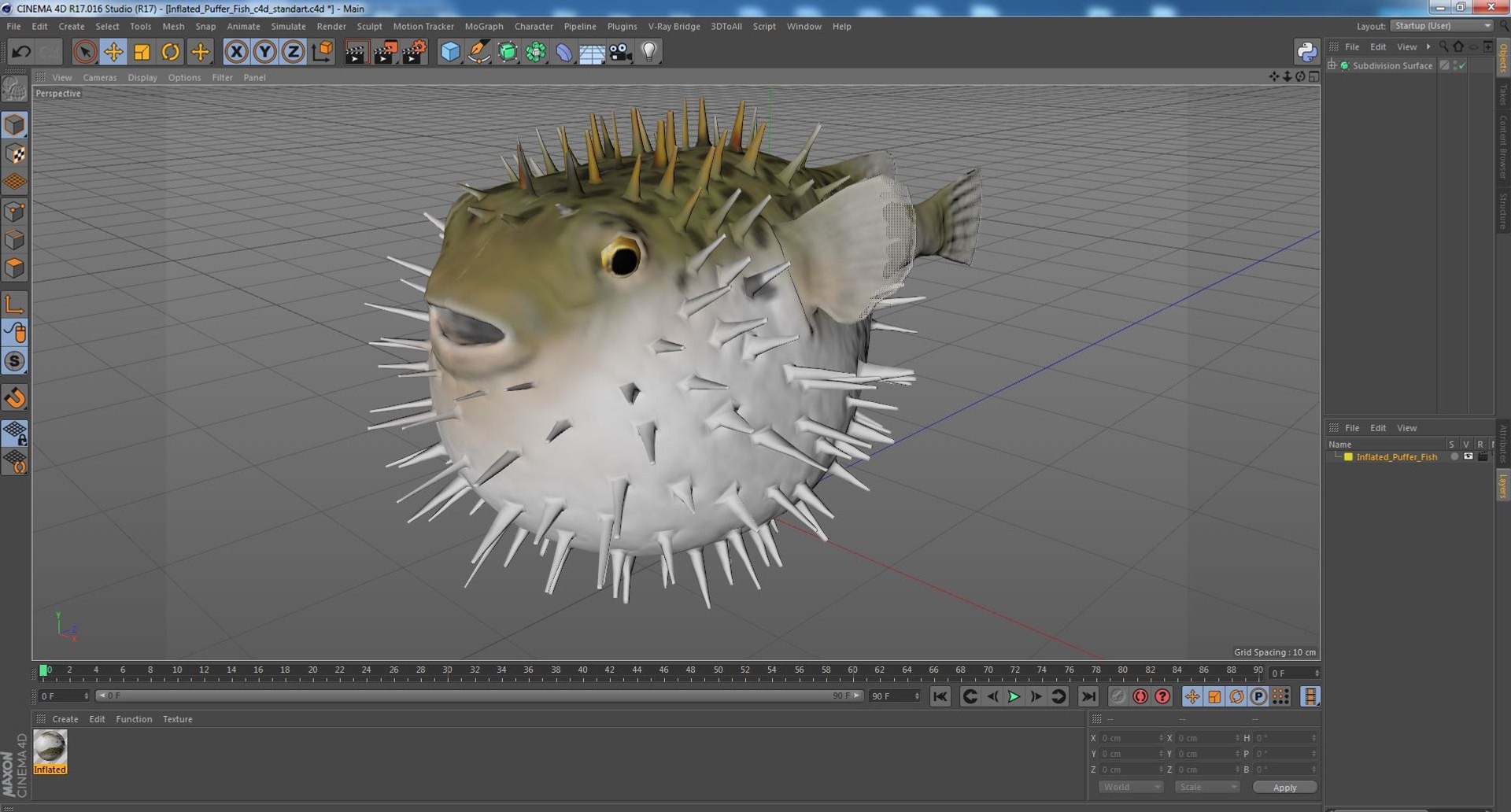 Inflated Puffer Fish 3D Model - TurboSquid 2191745