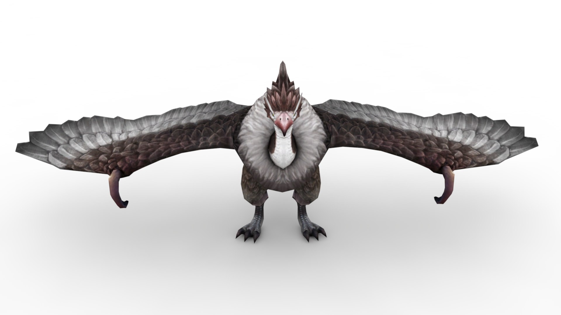 3D Model Condor - TurboSquid 1955483