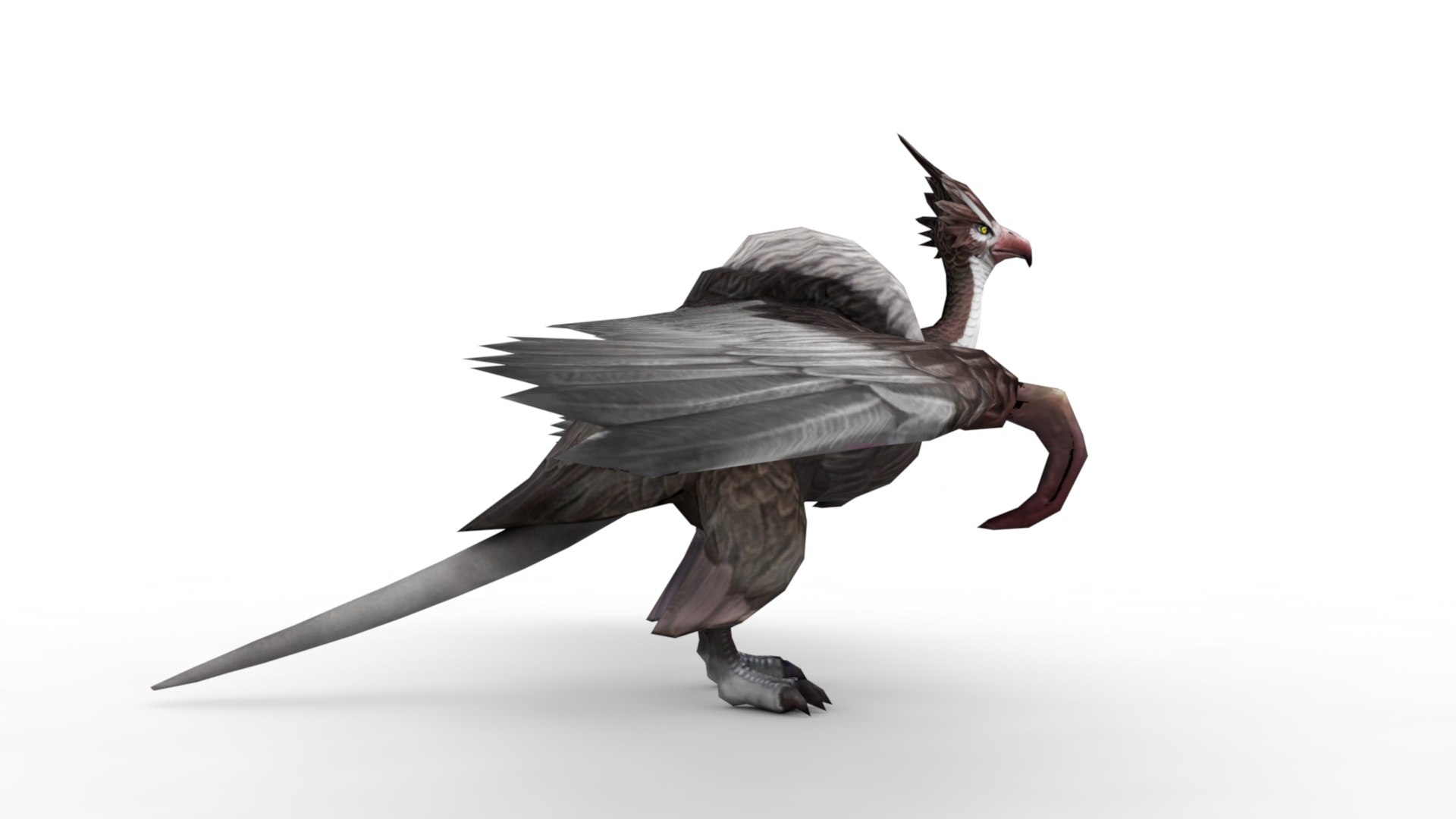 3D Model Condor - TurboSquid 1955483