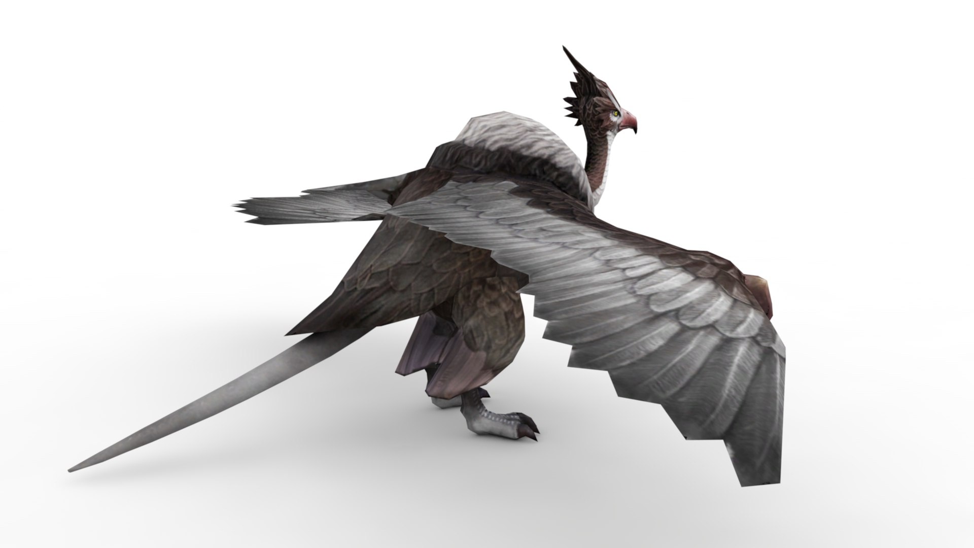 3D Model Condor - TurboSquid 1955483