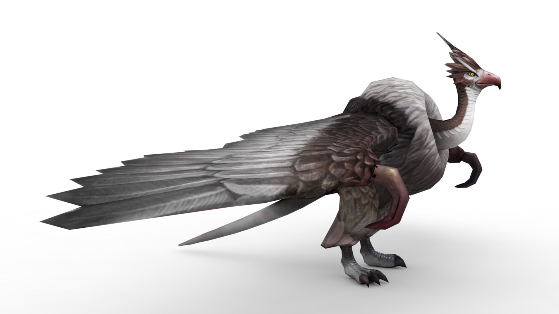 3D Model Condor - TurboSquid 1955483