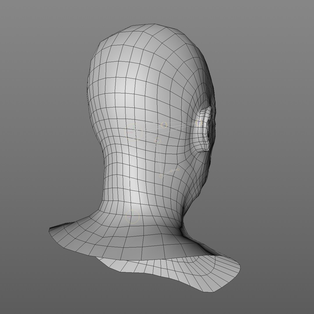Realistic head base mesh 3D - TurboSquid 1438814