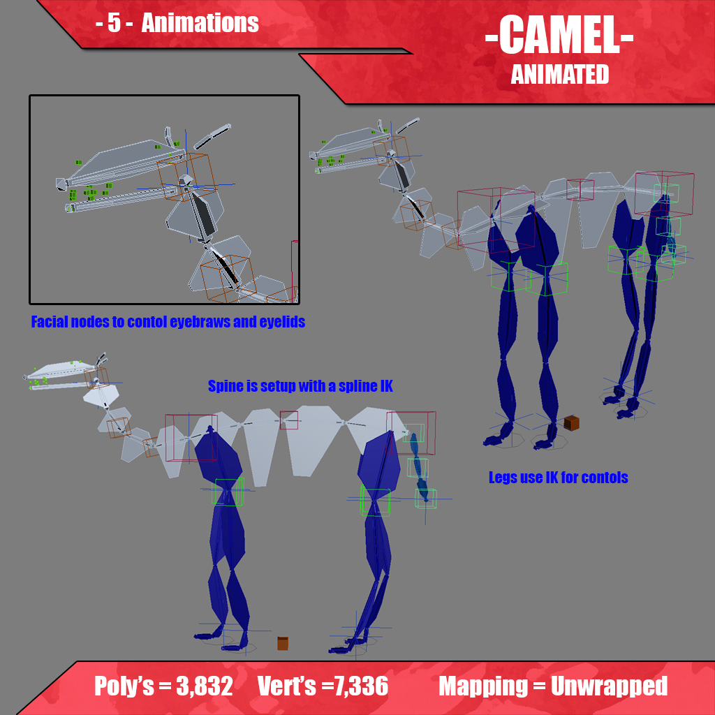 3d camel animations