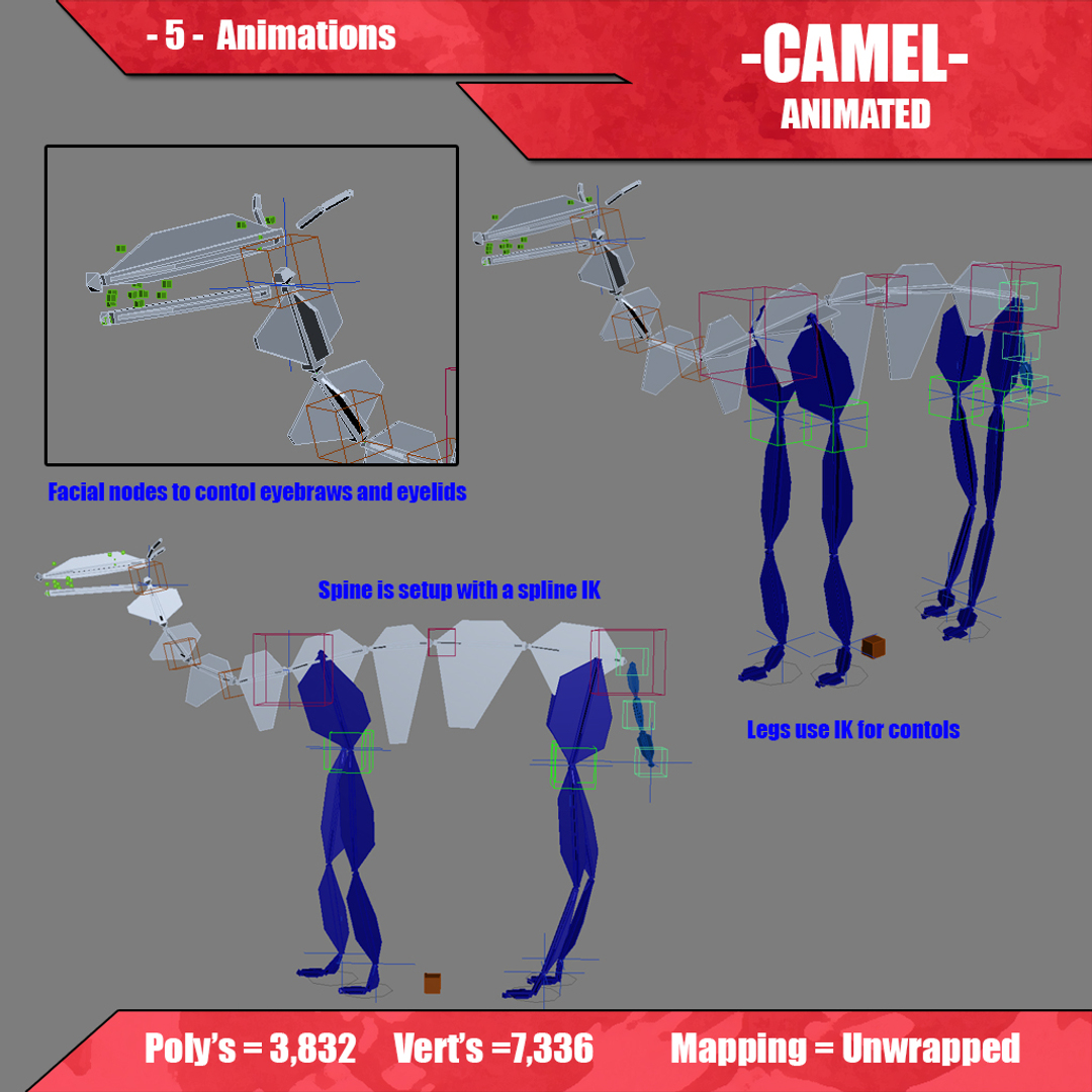 3d camel animations