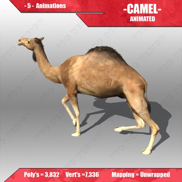 3d camel animations