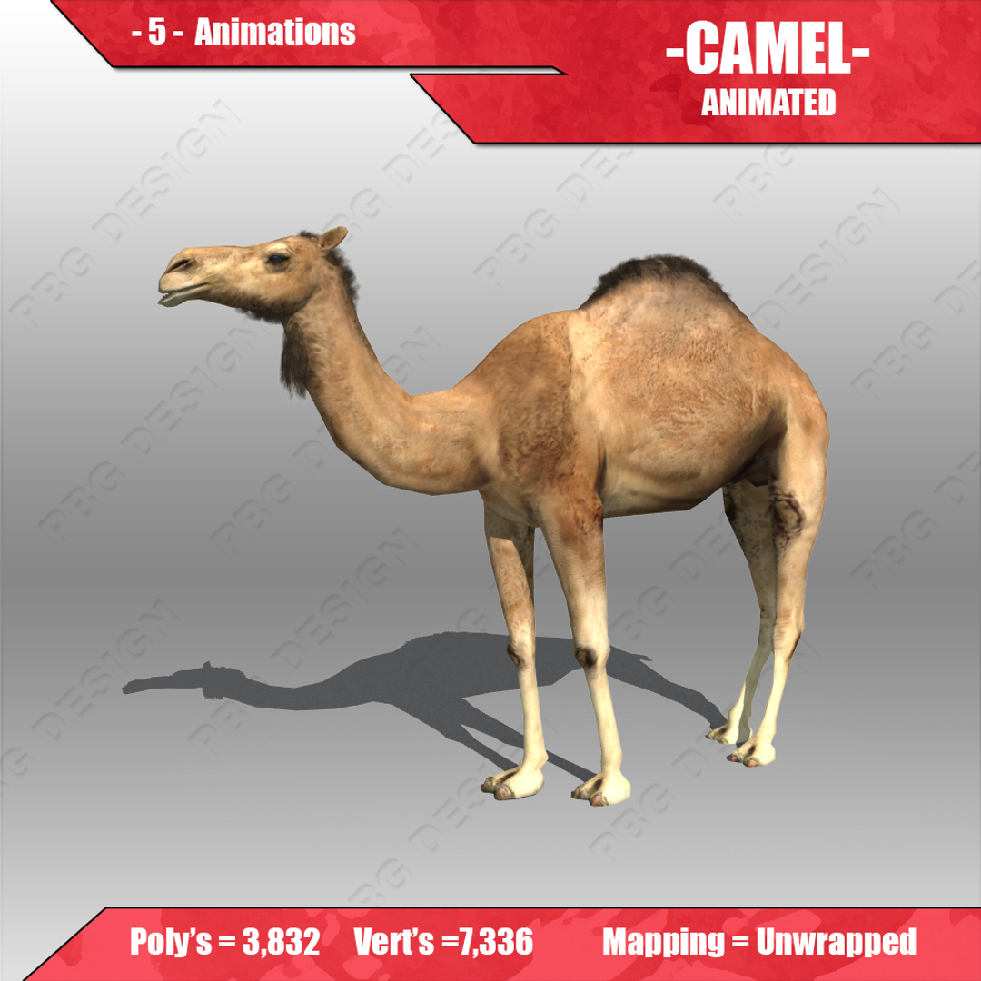 3d camel animations