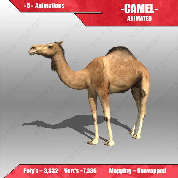 3d camel animations