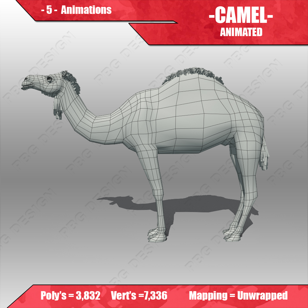 3d camel animations