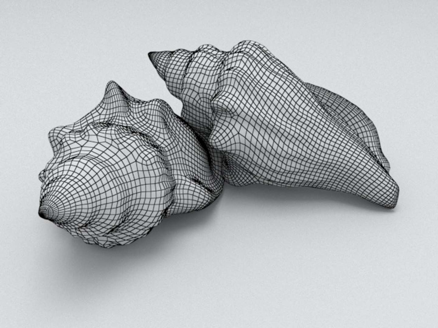 3D Angular Seashell - TurboSquid 1420508