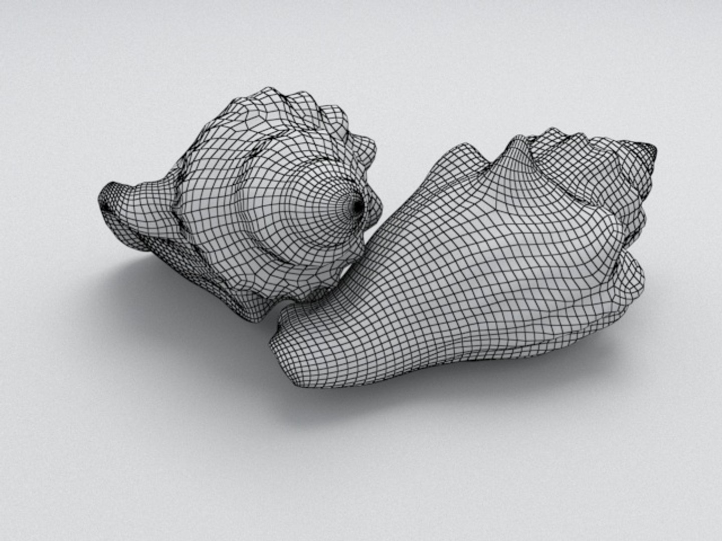 3D Angular Seashell - TurboSquid 1420508