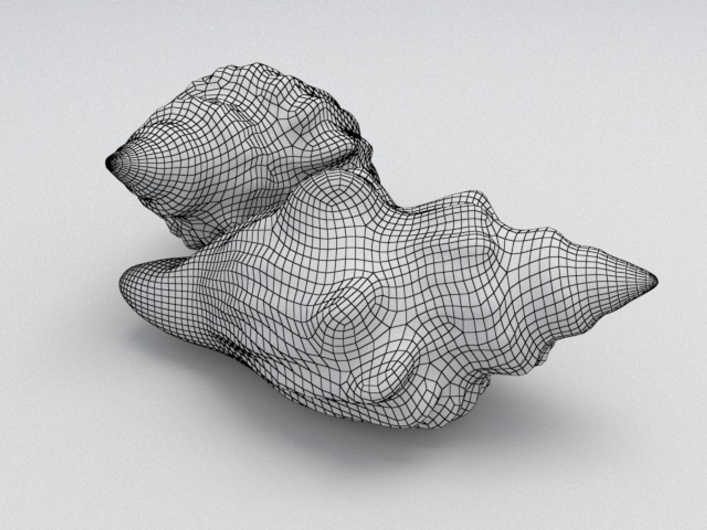 3D Angular Seashell - TurboSquid 1420508