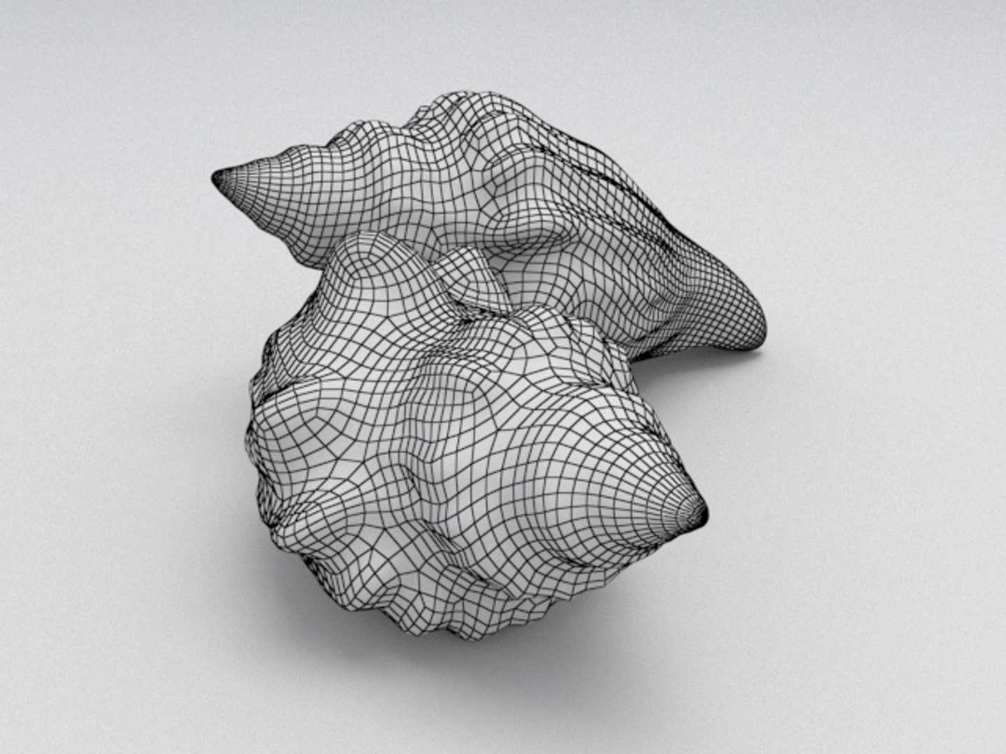 3D Angular Seashell - TurboSquid 1420508