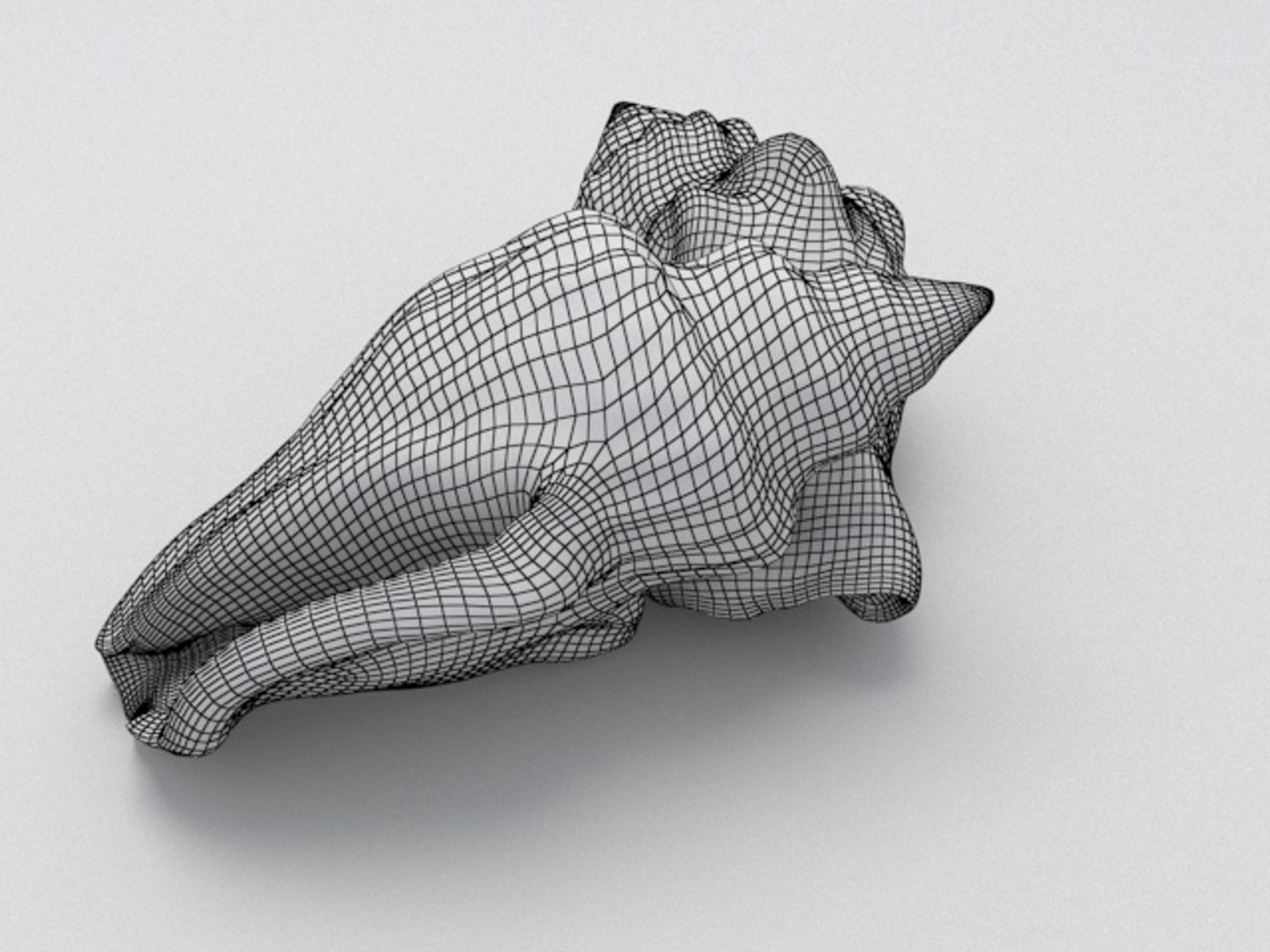 3D Angular Seashell - TurboSquid 1420508
