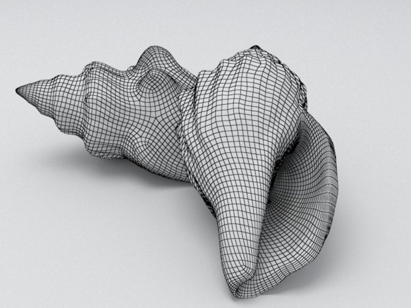 3D Angular Seashell - TurboSquid 1420508