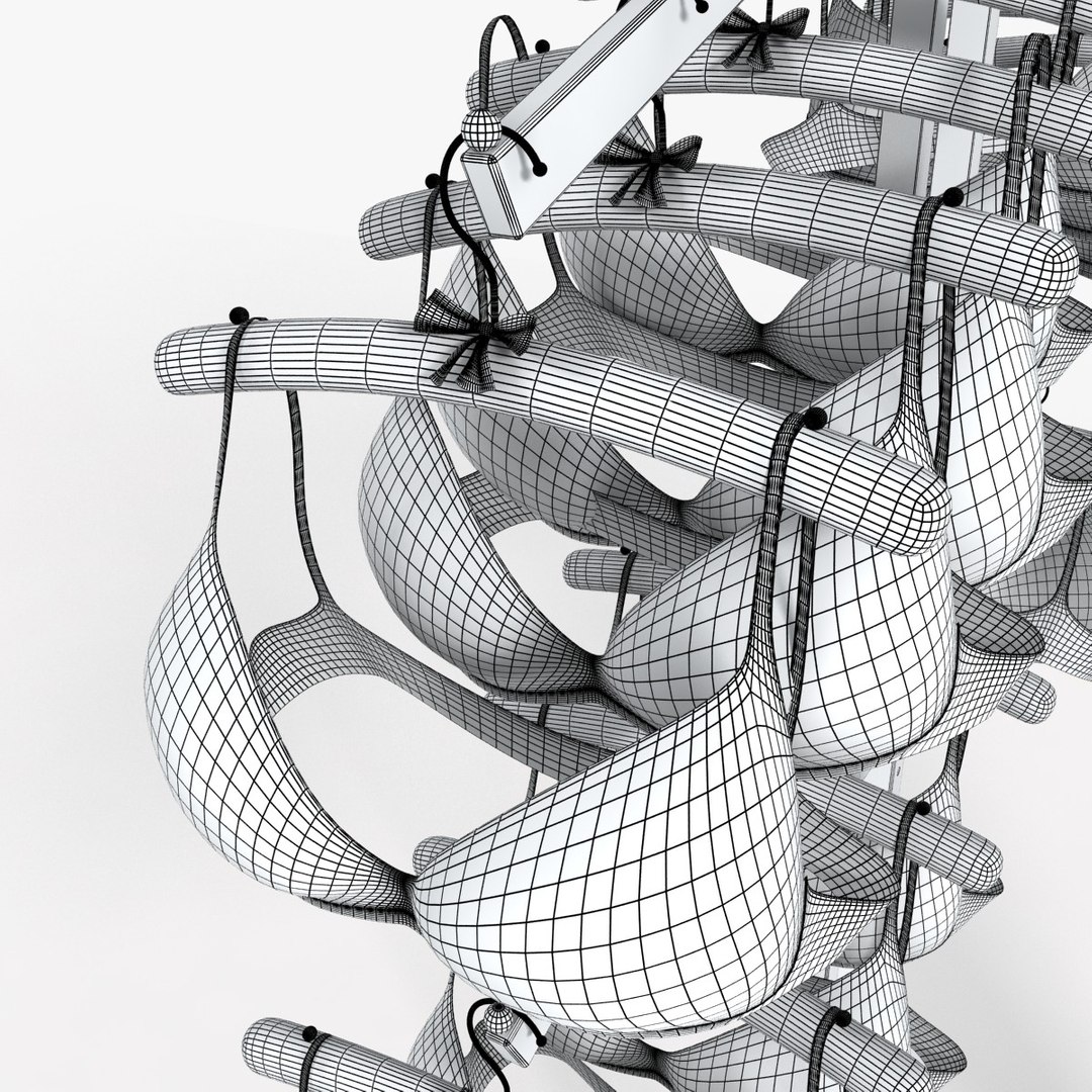 Bra Display 3d Model