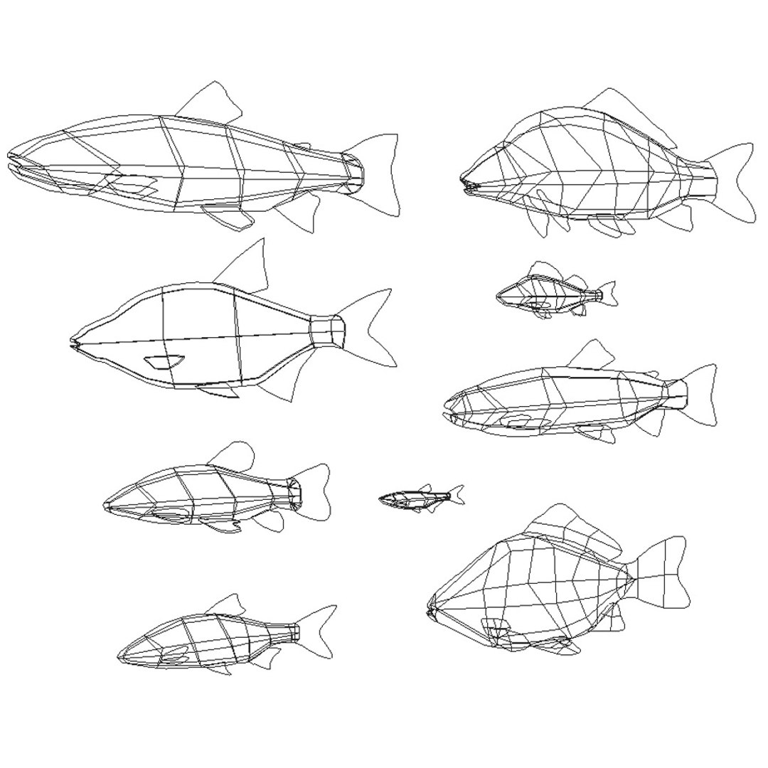 3d Model Fish Carp Pike Salmon