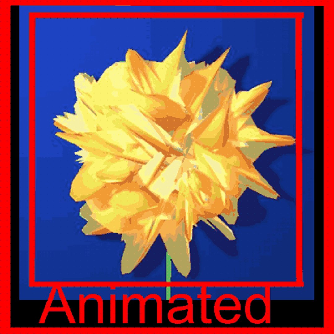 3d Flower Animation Model