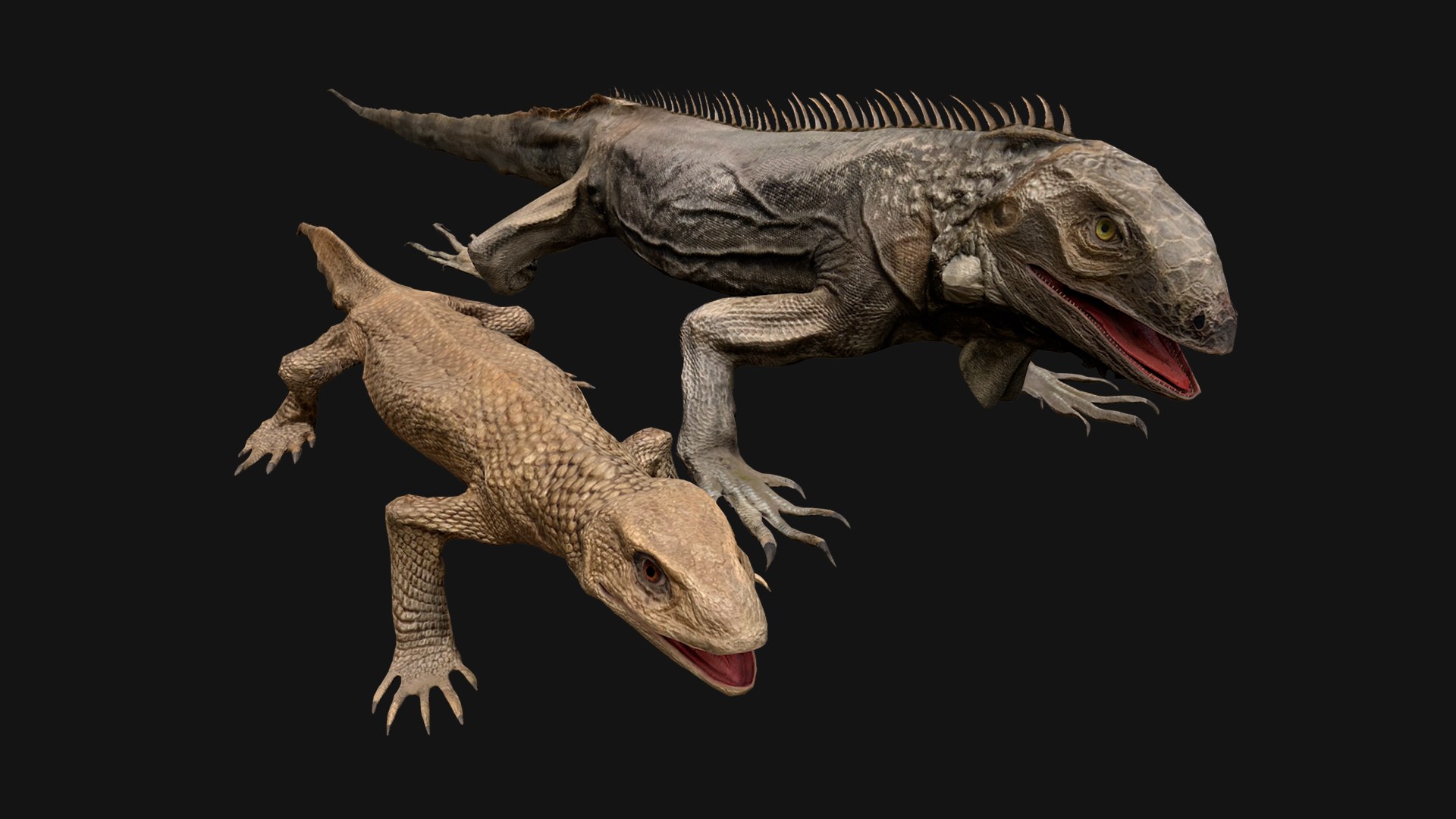 Reptile Set 3D Model - TurboSquid 2047057