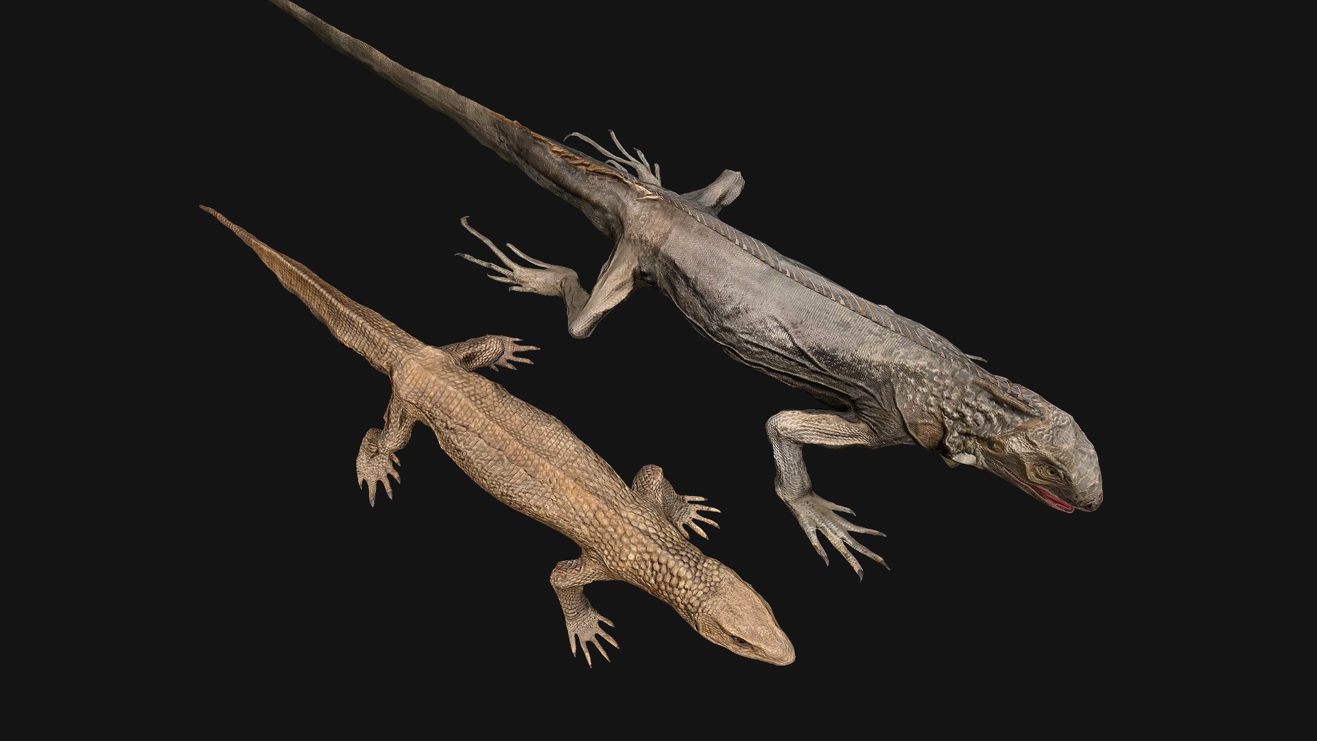 Reptile Set 3D Model - TurboSquid 2047057