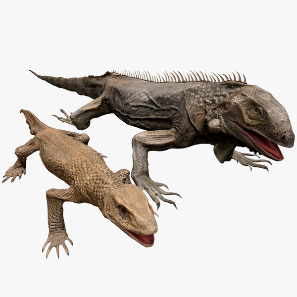 modelo 3d Reptile set - TurboSquid 2047057