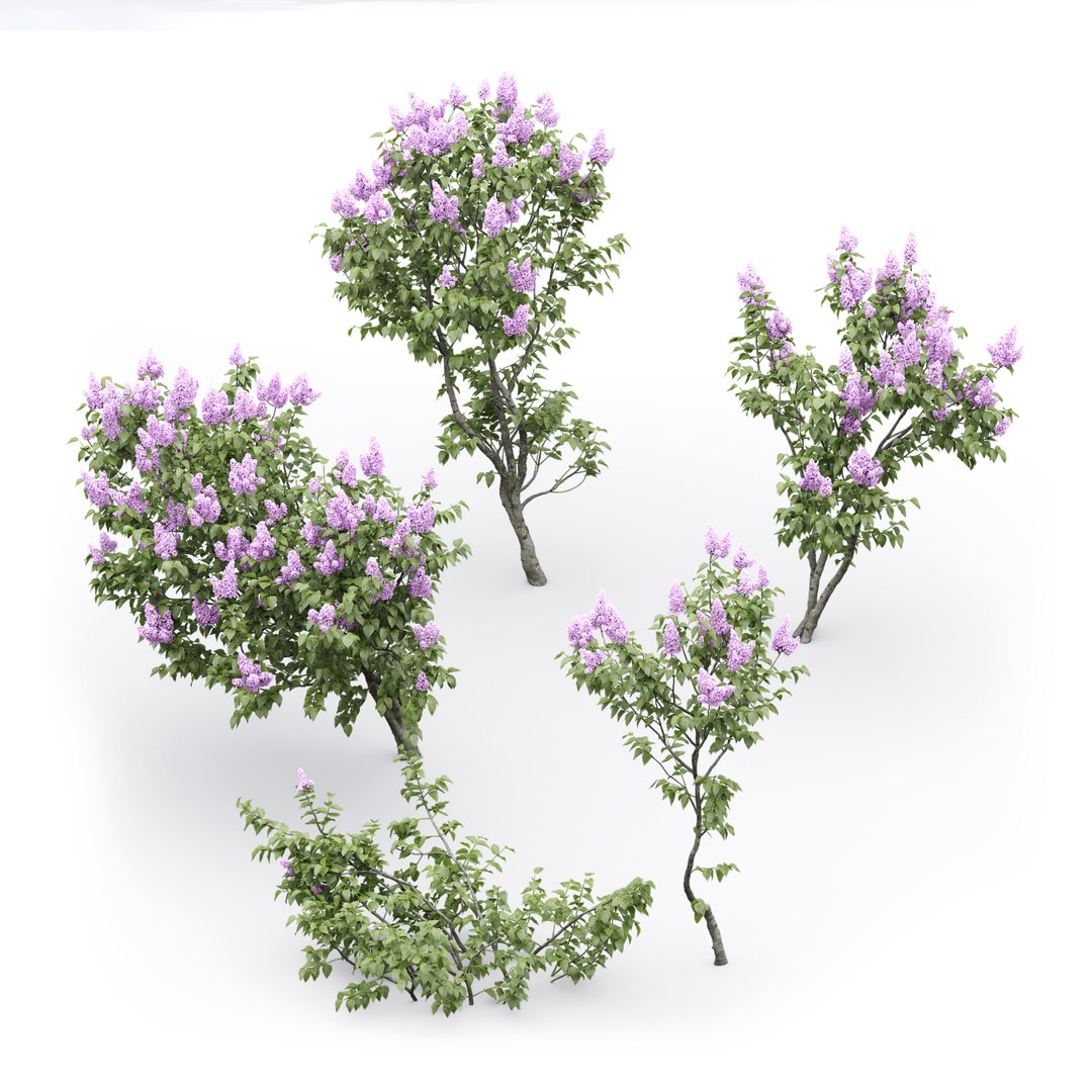 Bush Flowers Corona Model - TurboSquid 1484907