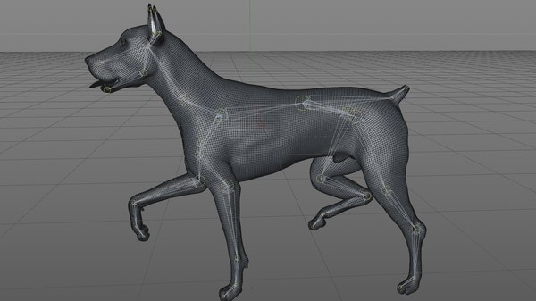 3D doberman rigged l611 animate model - TurboSquid 1520279