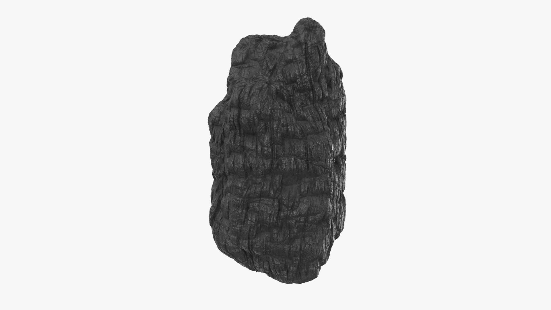 Burnt Log 03 3D Model - TurboSquid 2149226