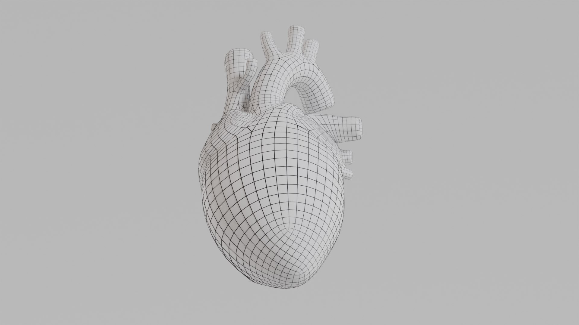 Human Heart 3D Model - TurboSquid 2322393