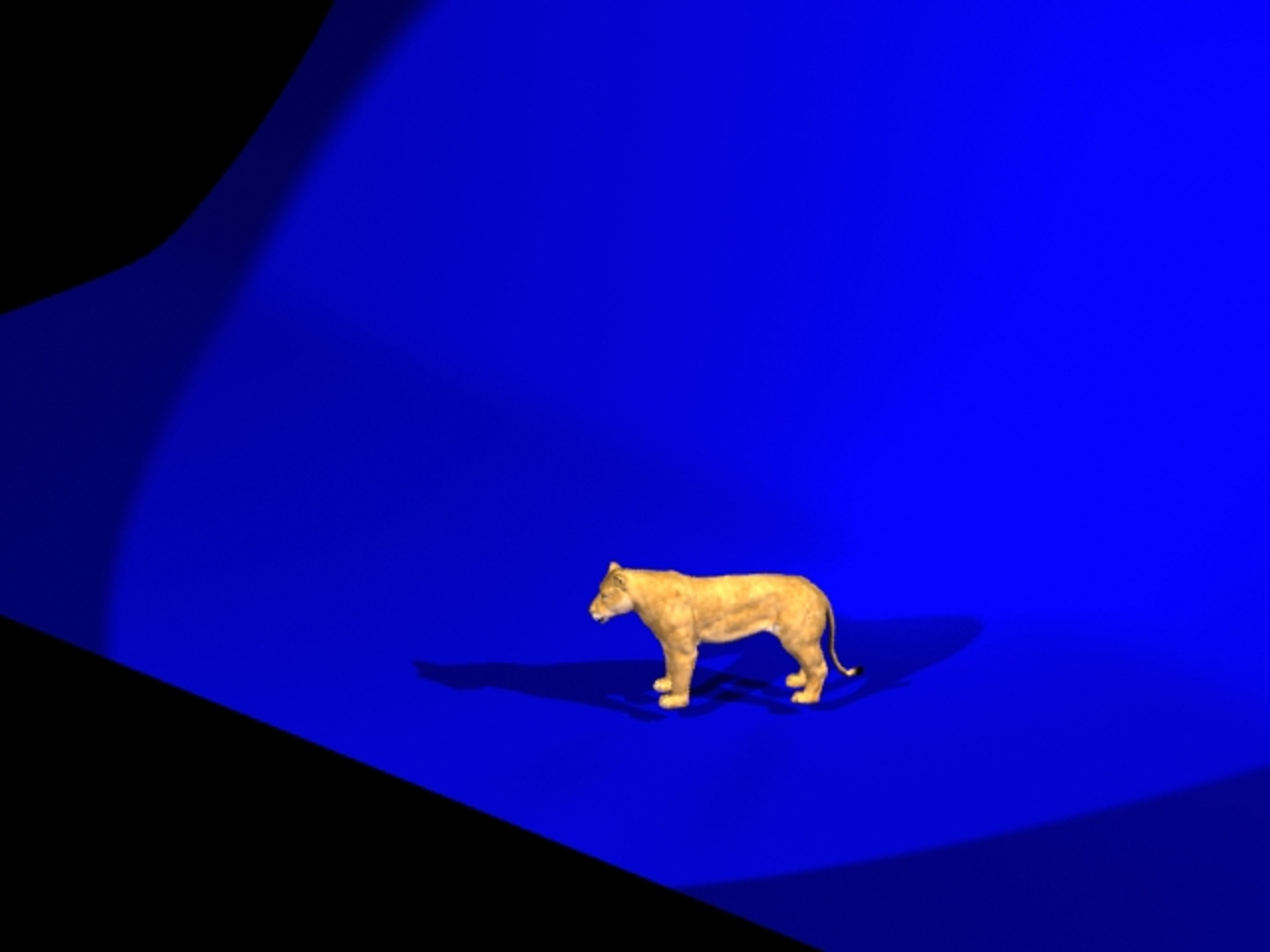 3d lioness animation