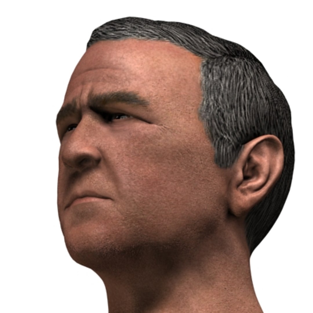 3d Bush Model