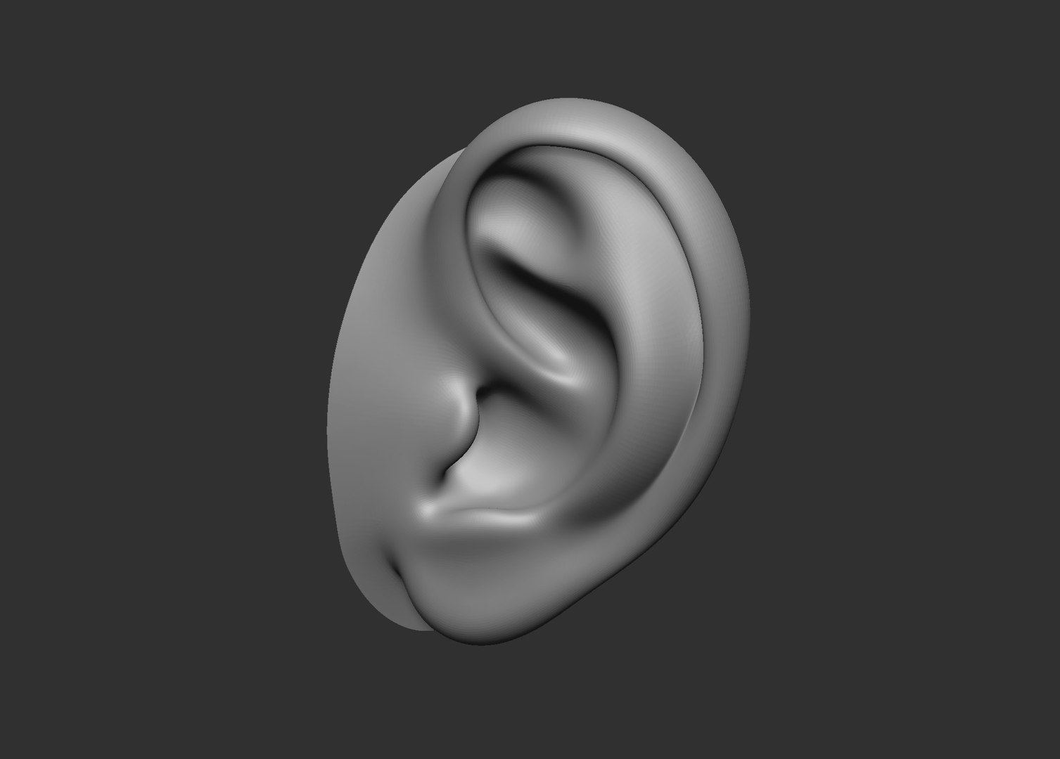 Ear 3D Model - TurboSquid 2226839