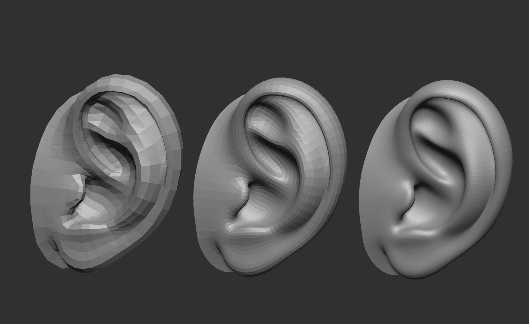 Ear 3D Model - TurboSquid 2226839