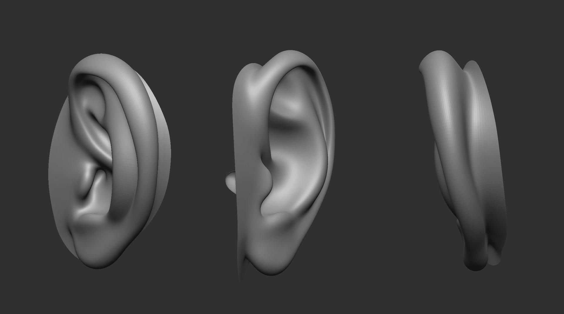 Ear 3D Model - TurboSquid 2226839