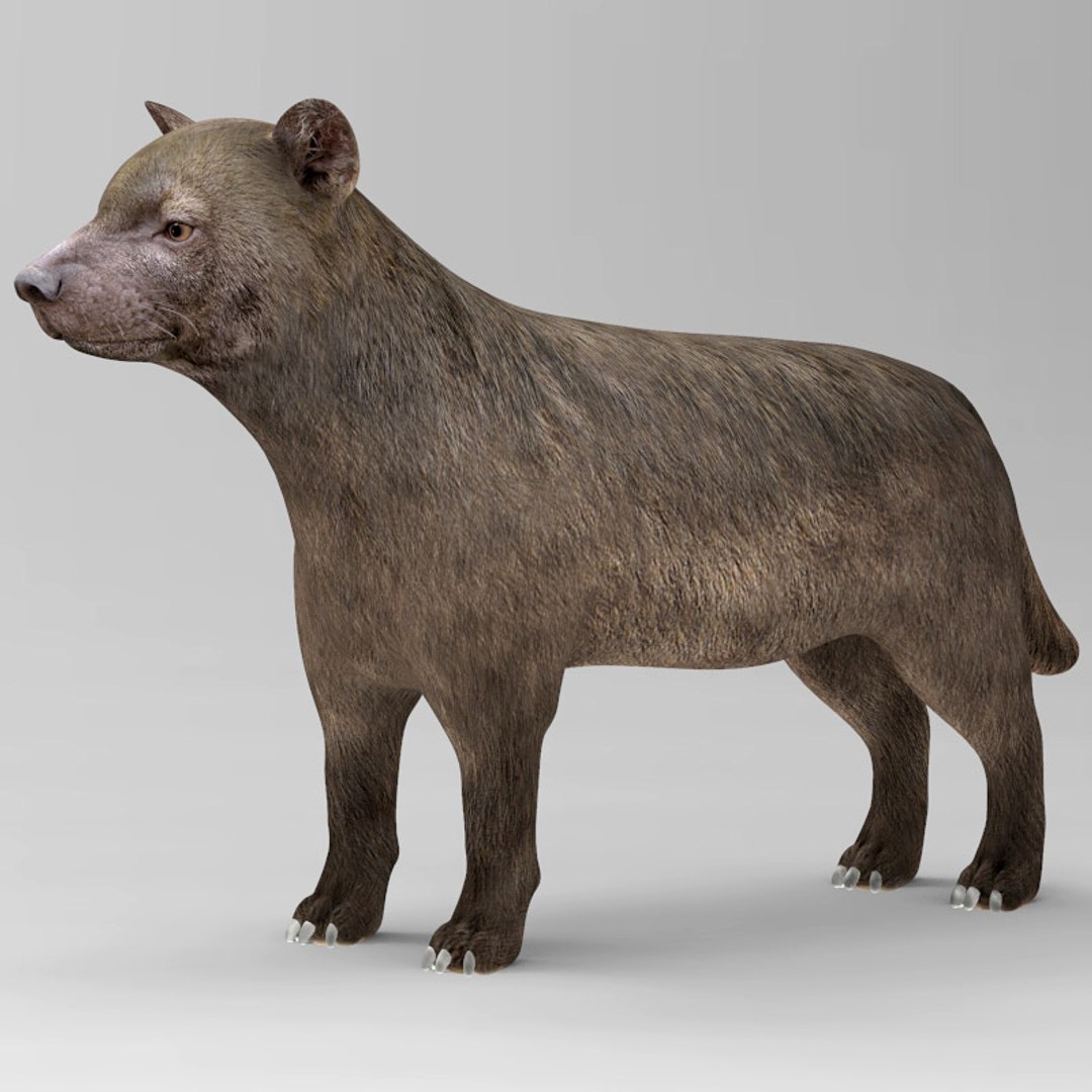 Bush Dog 3D model - TurboSquid 2183478