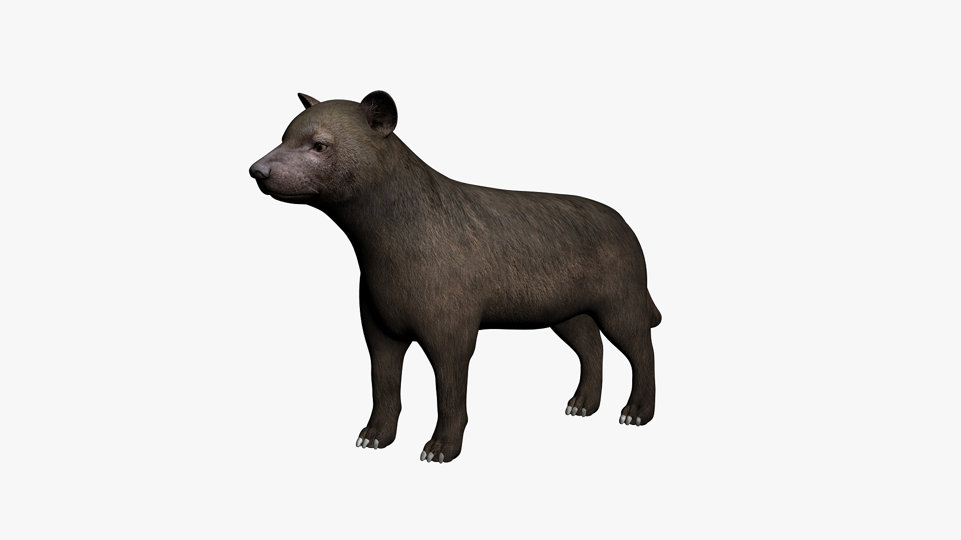Bush Dog 3D model - TurboSquid 2183478