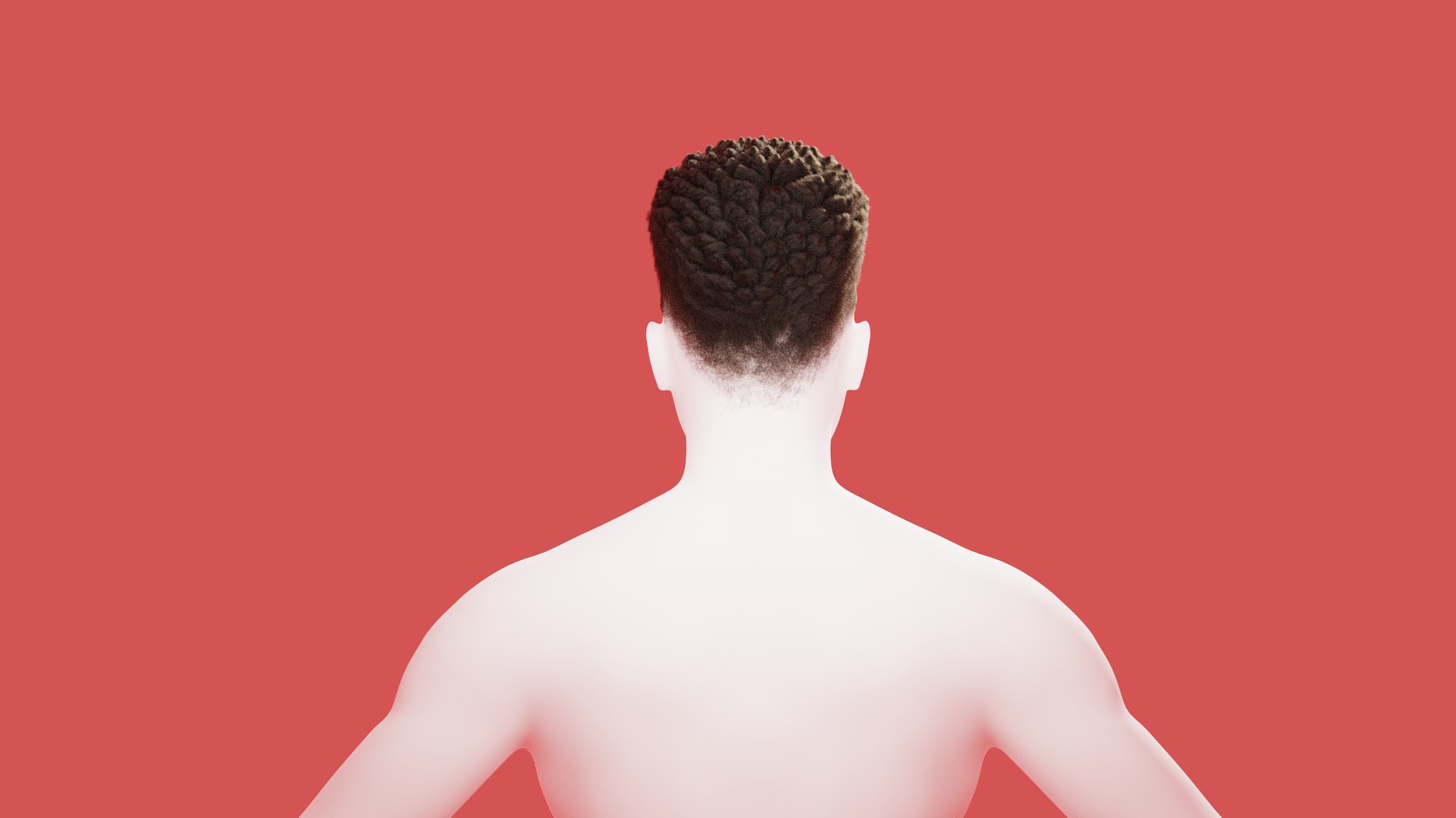 Afro Curl Sponge Fade 3D - TurboSquid 2228548