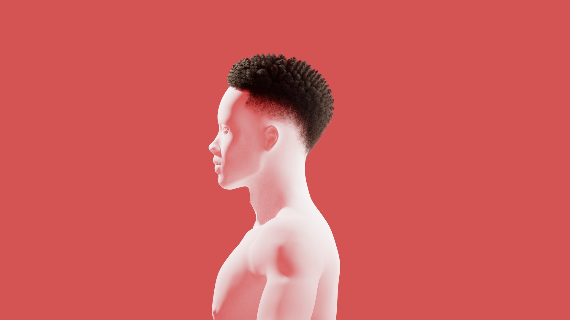 Afro Curl Sponge Fade 3D - TurboSquid 2228548