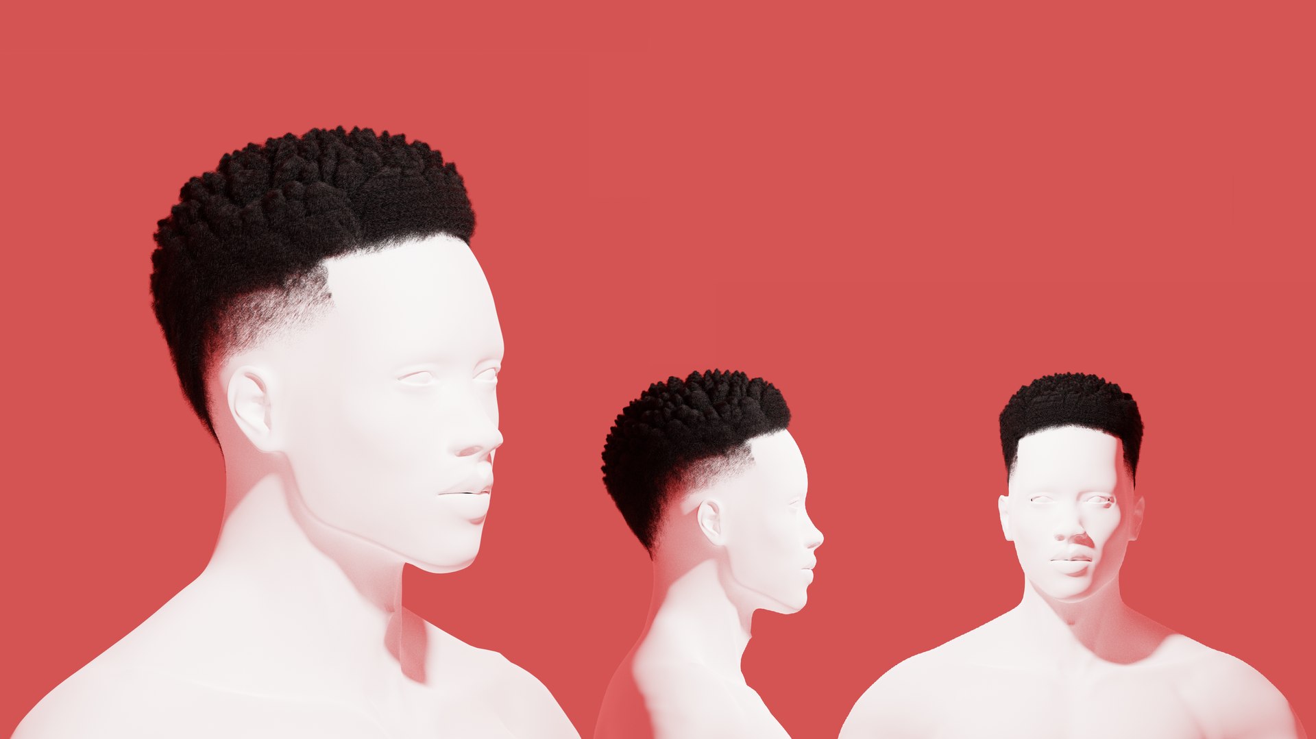 Afro Curl Sponge Fade 3D - TurboSquid 2228548
