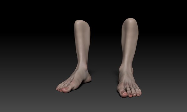 modelo 3d Female Pro Foot Sculpt - TurboSquid 2052484