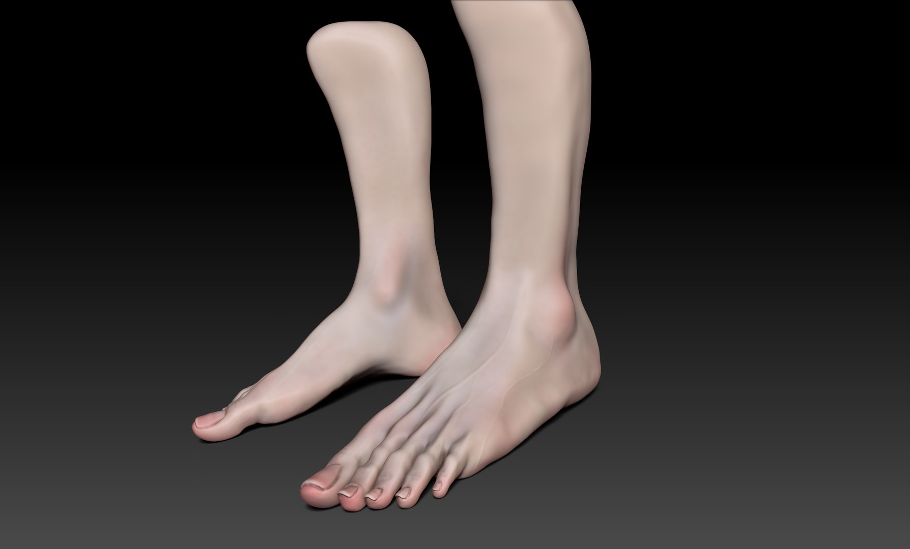 Female Pro Foot Sculpt model - TurboSquid 2052484