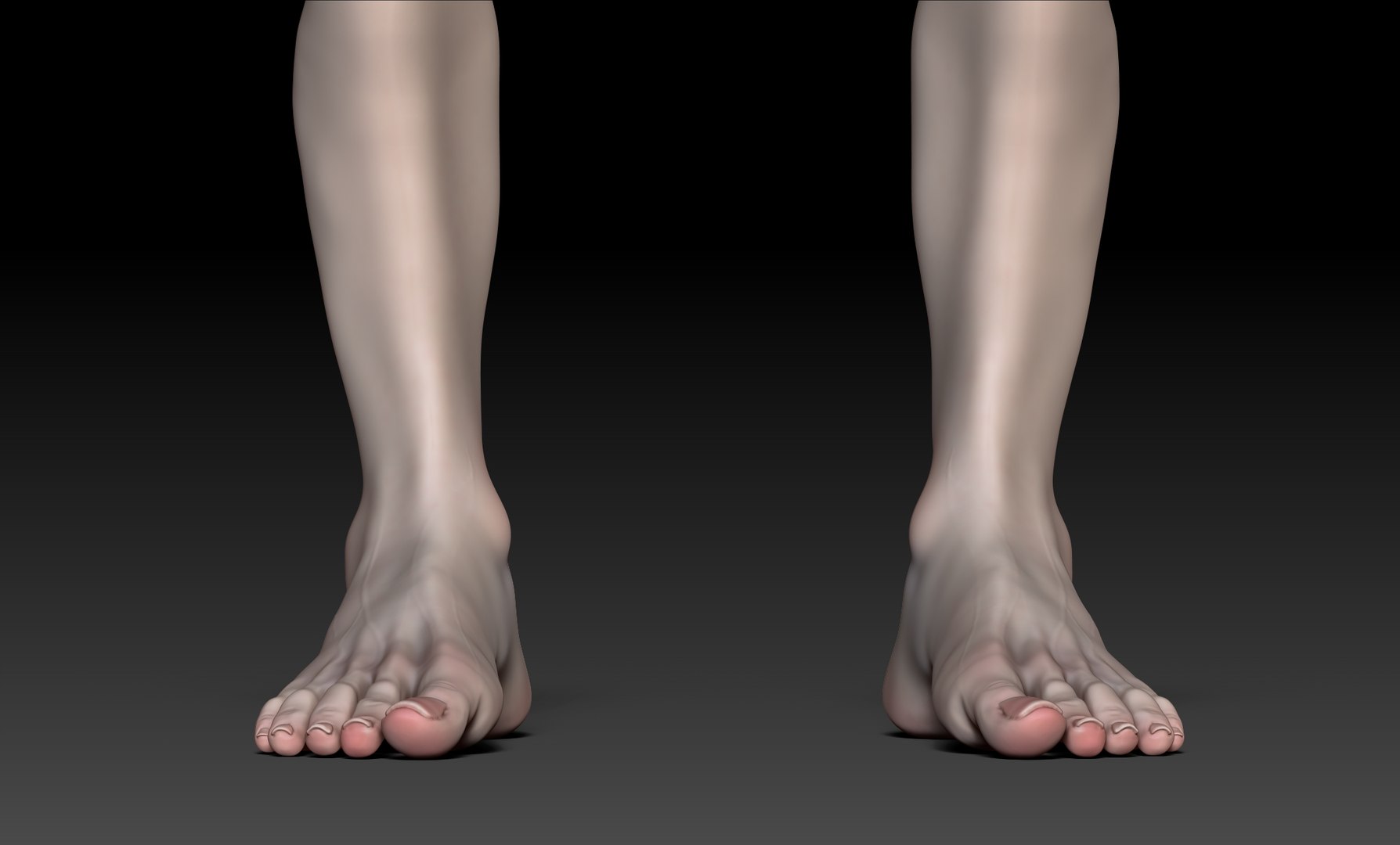 Female Pro Foot Sculpt Model - TurboSquid 2052484