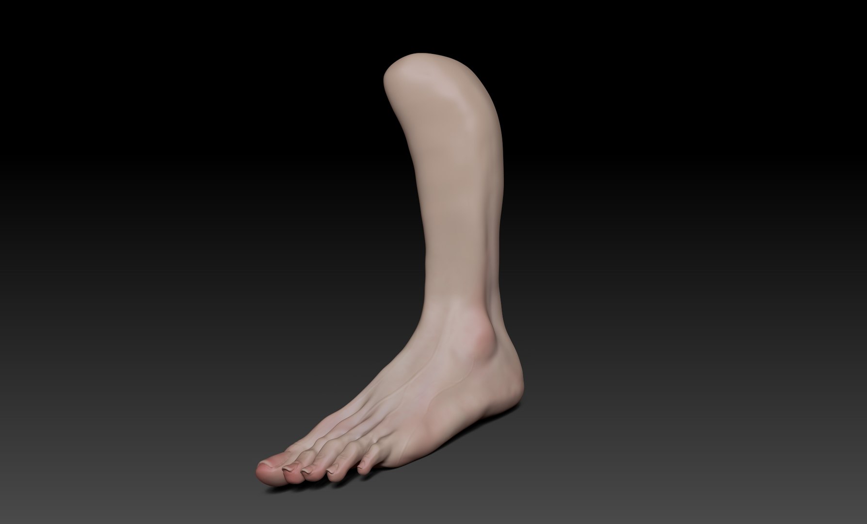 Female Pro Foot Sculpt Model - TurboSquid 2052484