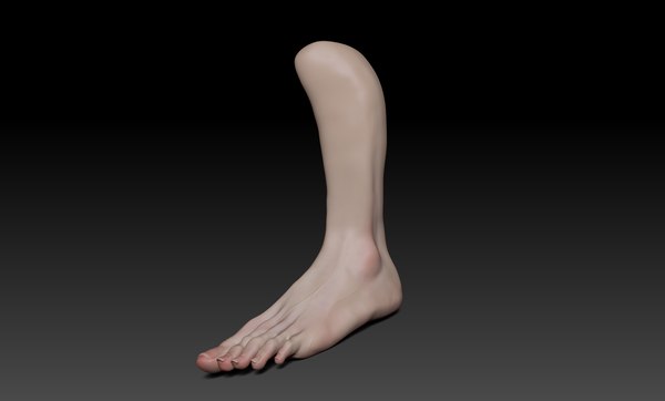 modelo 3d Female Pro Foot Sculpt - TurboSquid 2052484
