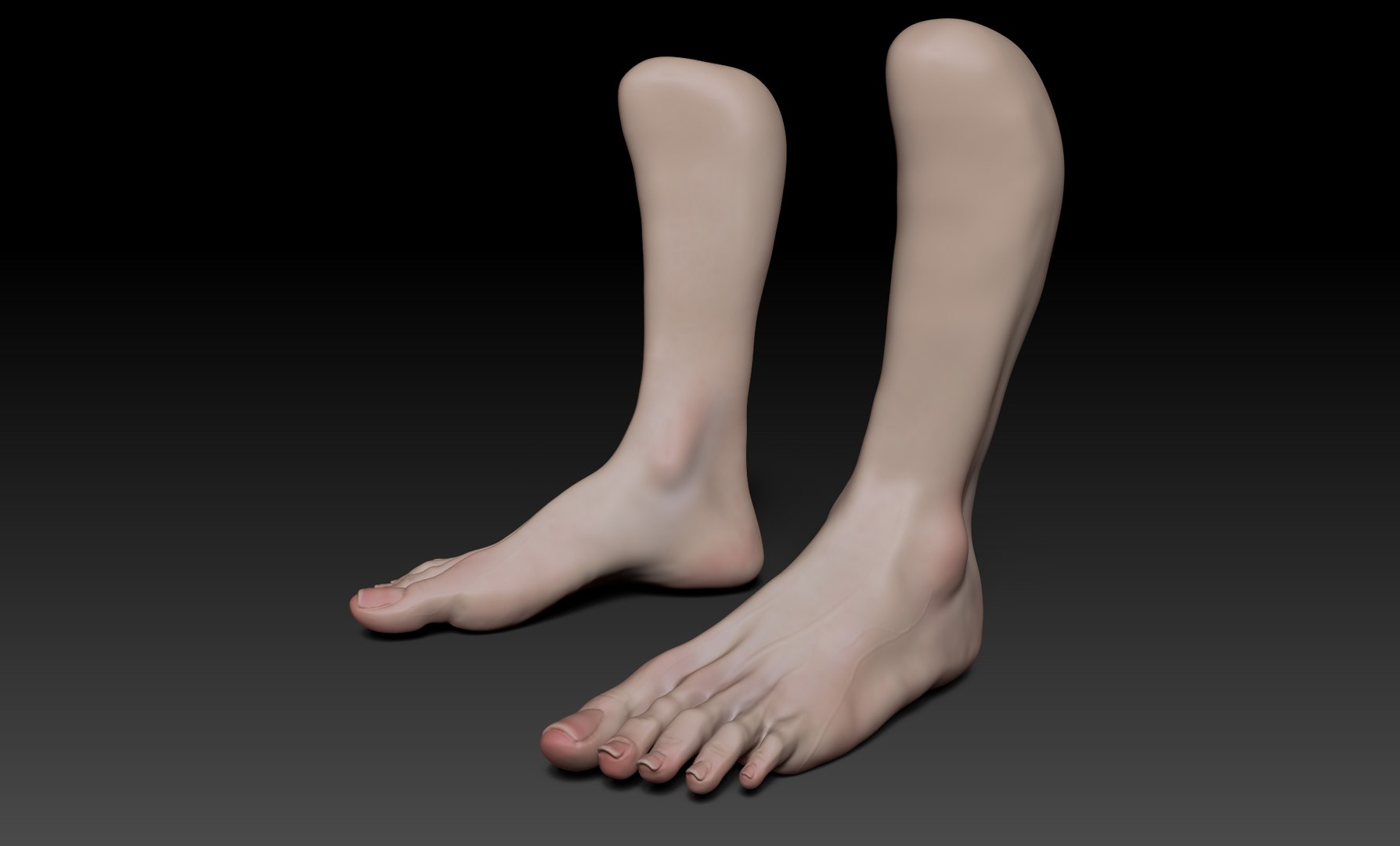 Female Pro Foot Sculpt Model - TurboSquid 2052484